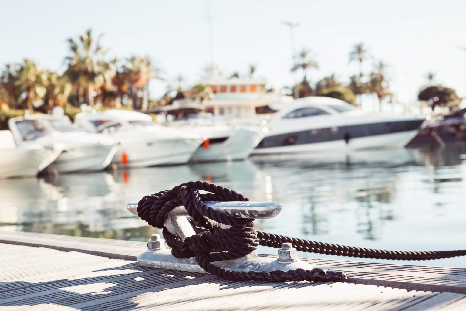 The Profitability of Owning a Boat Dealership - Merrimac